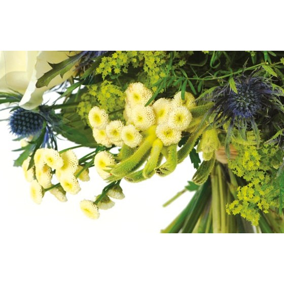 Bouquet rond de fleurs blanches et jaunes - Livraison par un fleuriste ...