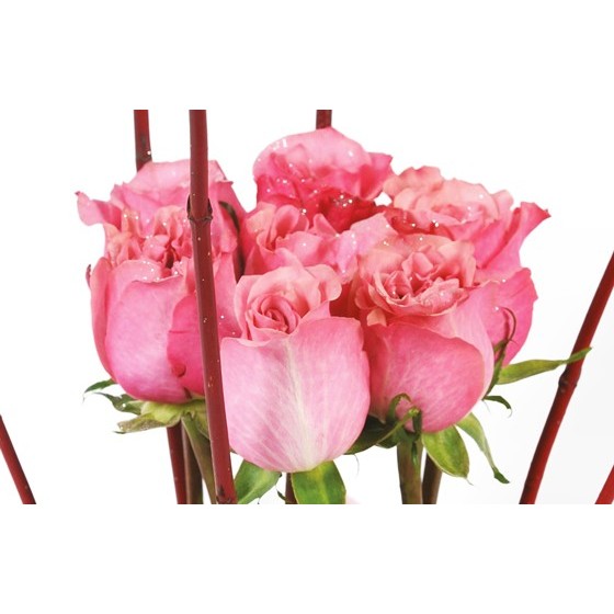 Lady Rose, Composition de roses - livraison de fleurs à domicile en 4h ...